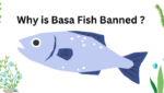 Why Is Basa Fish Banned? Unveiling the Truth - SafeFins